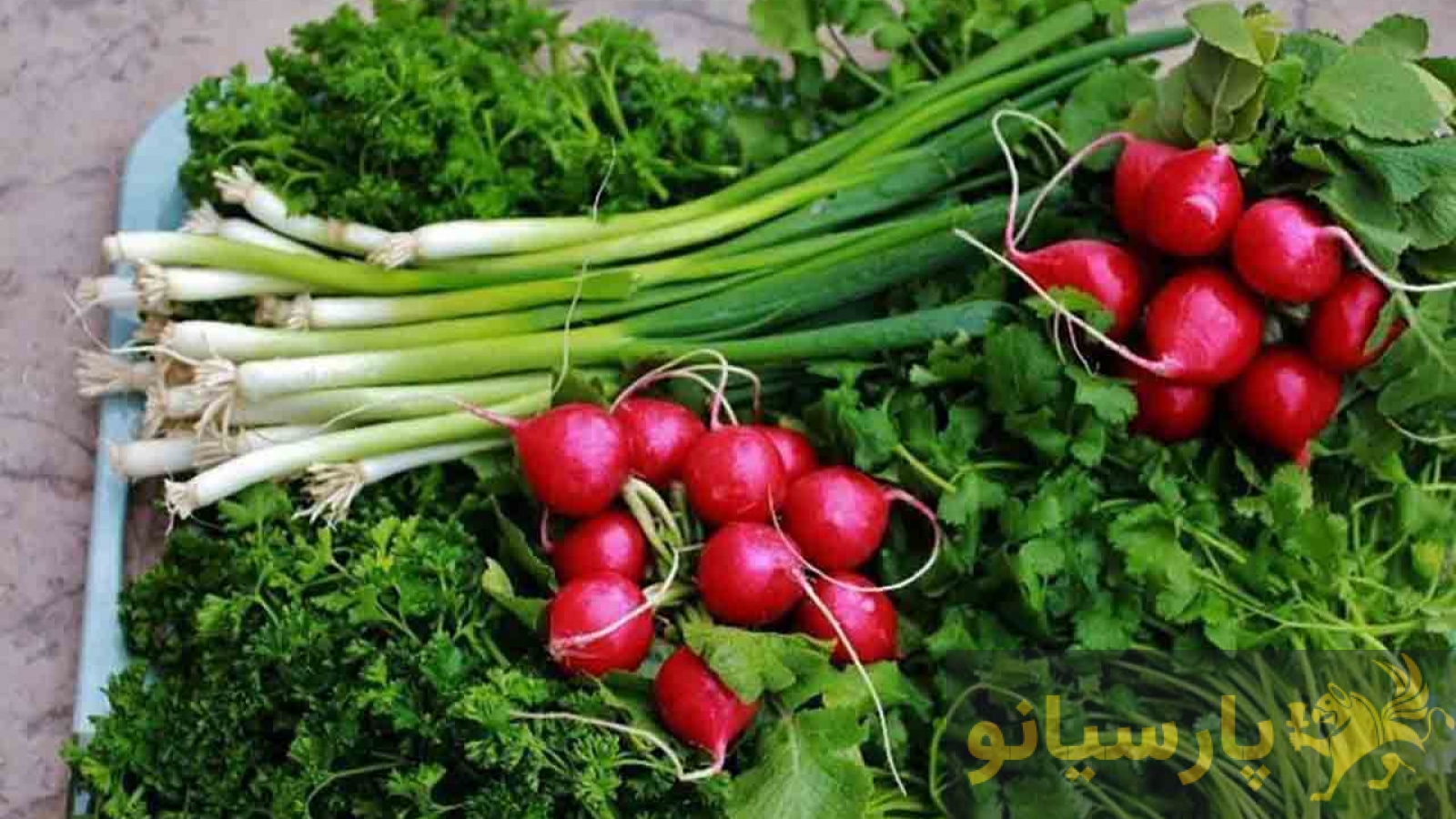 پخش عمده انواع سبزی | پارسیانو